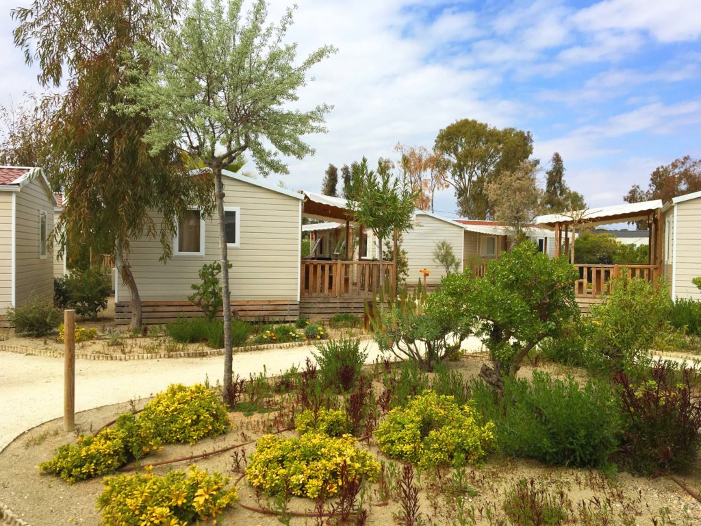 Camping Gavina – Tematic Arquitectura