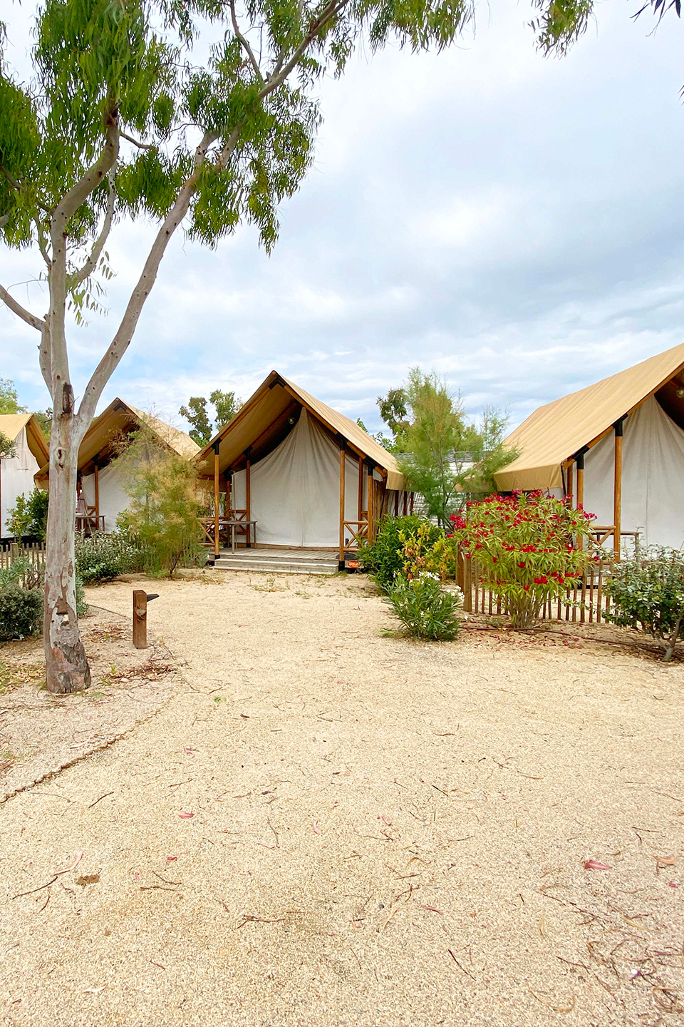 Camping Gavina – Tematic Arquitectura