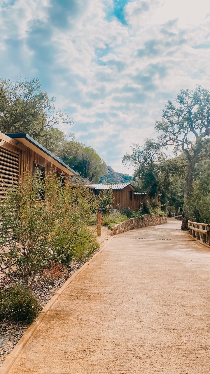 Pola Giverola Camp – Tematic Arquitectura