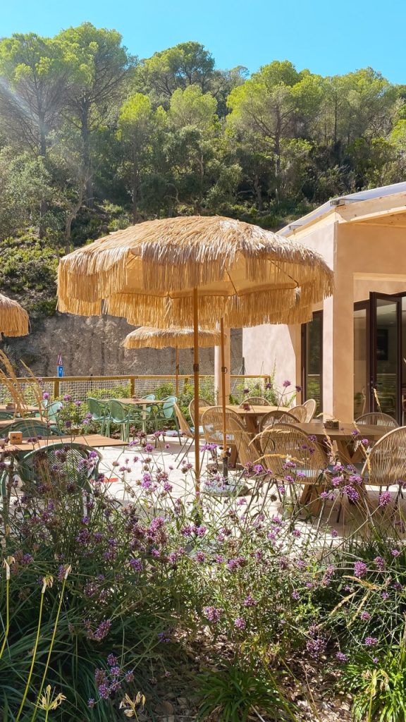Pola Giverola Camp – Tematic Arquitectura