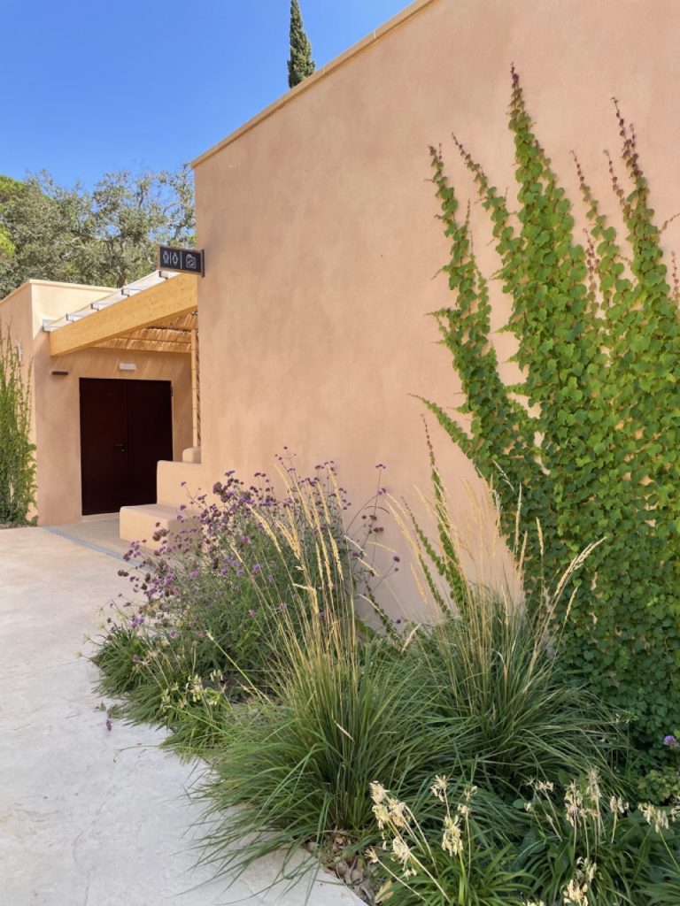 Pola Giverola Camp – Tematic Arquitectura