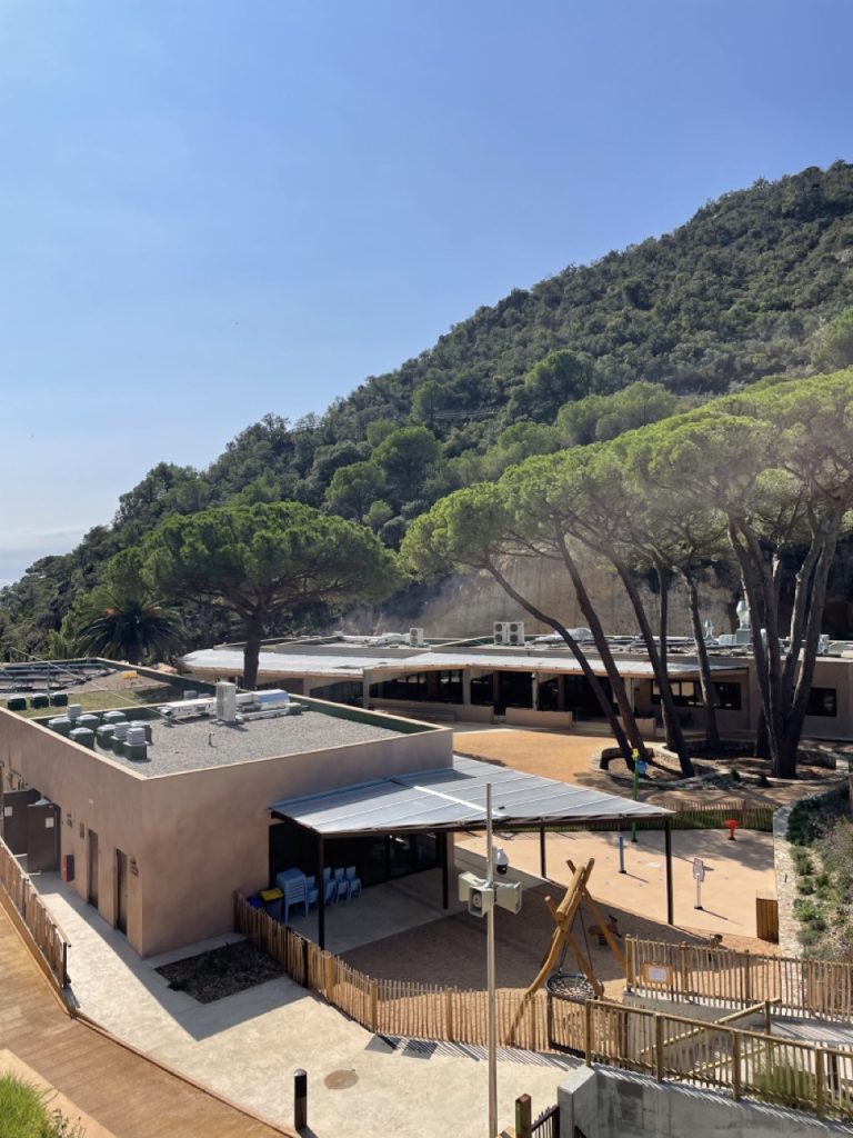 Pola Giverola Camp – Tematic Arquitectura