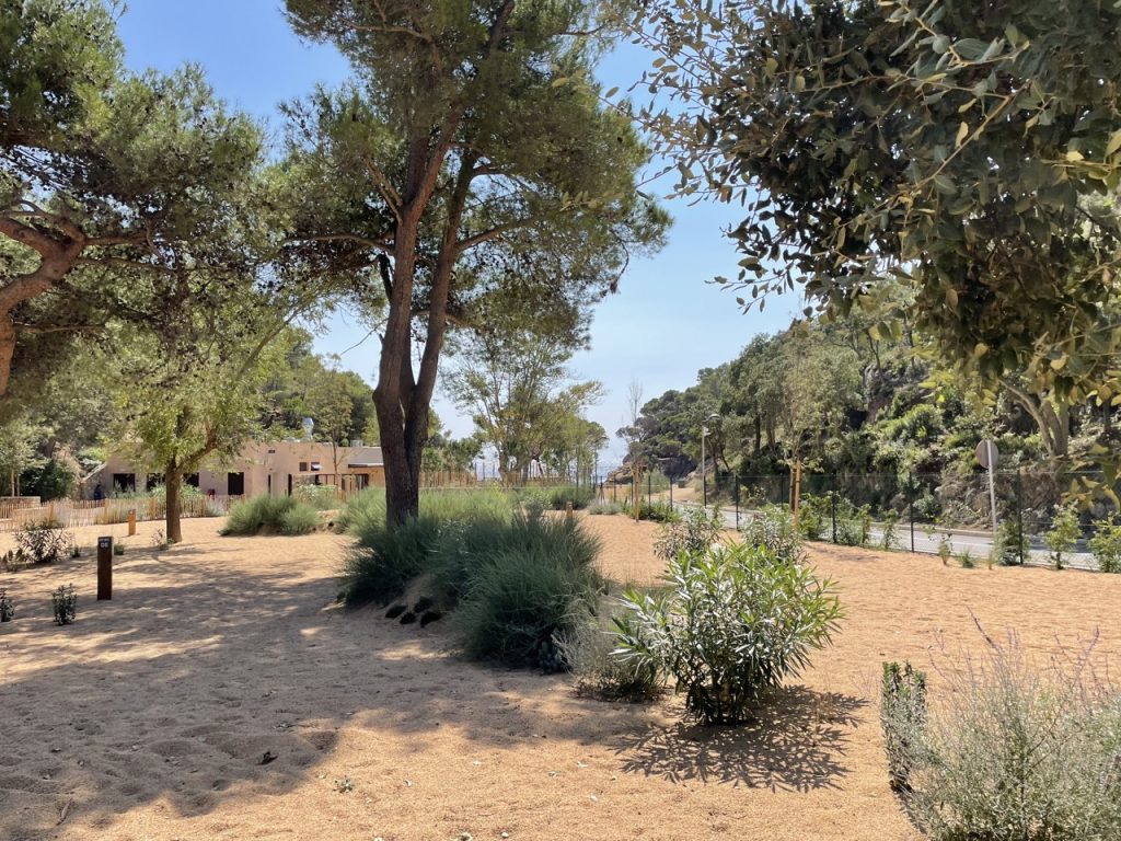 Pola Giverola Camp – Tematic Arquitectura